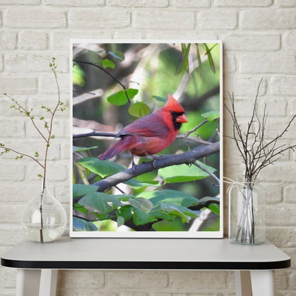 11x14 Northern Red Cardinal Photography Art Oil Paint… - Gem